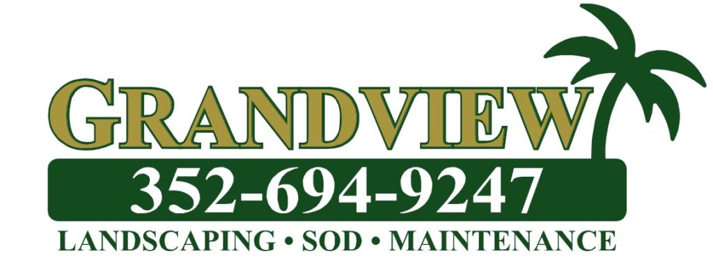 logo - GRANDVIEW